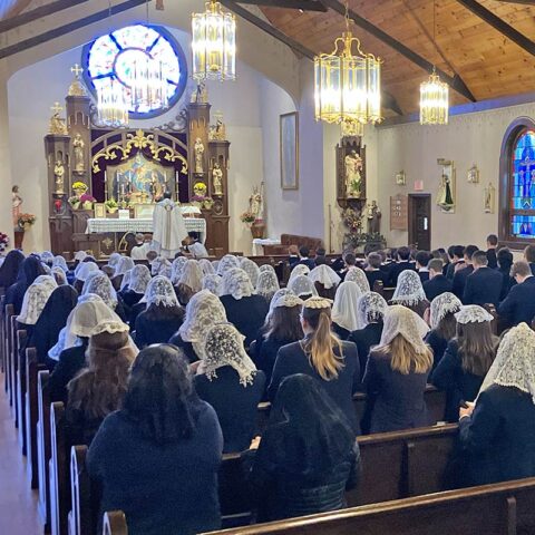 Home - Immaculate Heart of Mary School